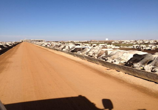 José Scarpa: com o agronegócio se tornando tão competitivo, temos que ...