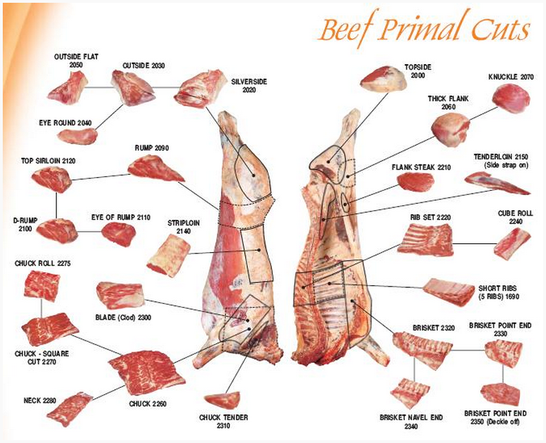 Cortes de Carne Bovina mais comuns no Brasil e no Mundo | BeefPoint