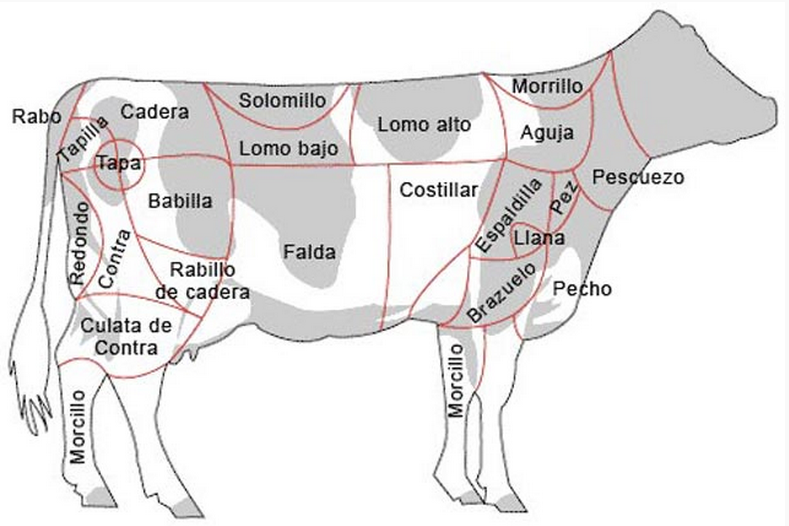 Cortes de Carne Bovina mais comuns no Brasil e no Mundo | BeefPoint