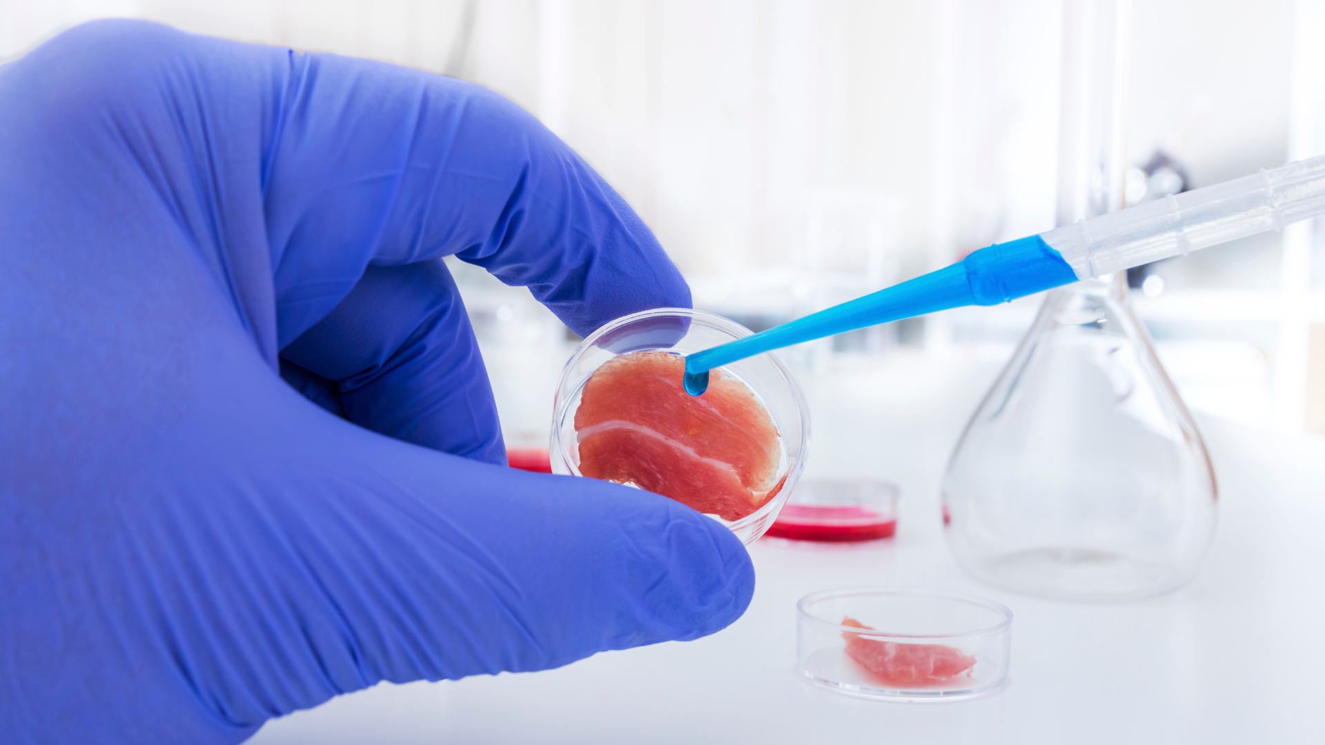 Jeff Bezos doa US$ 30 milhões para desenvolver carne falsa