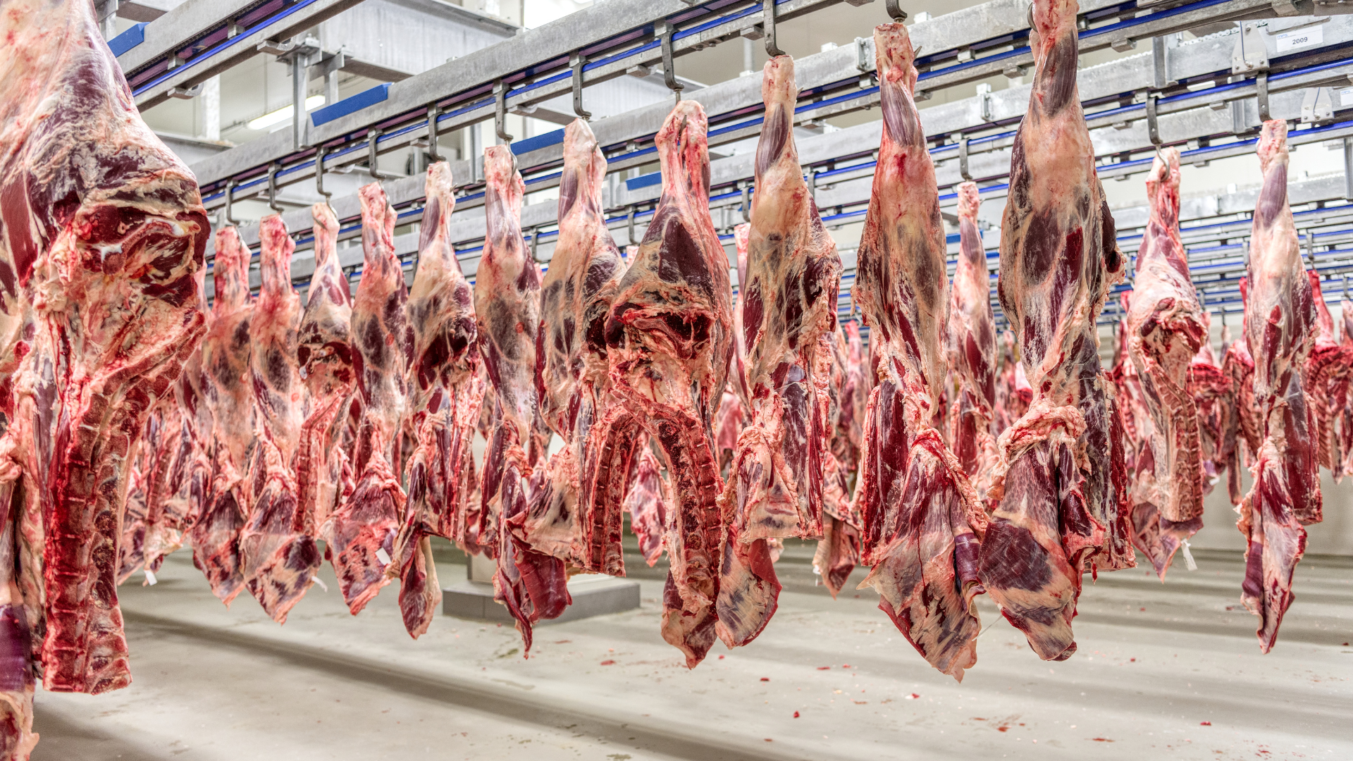 Governo do Estado lança programa de regularização de débitos de ICMS ...