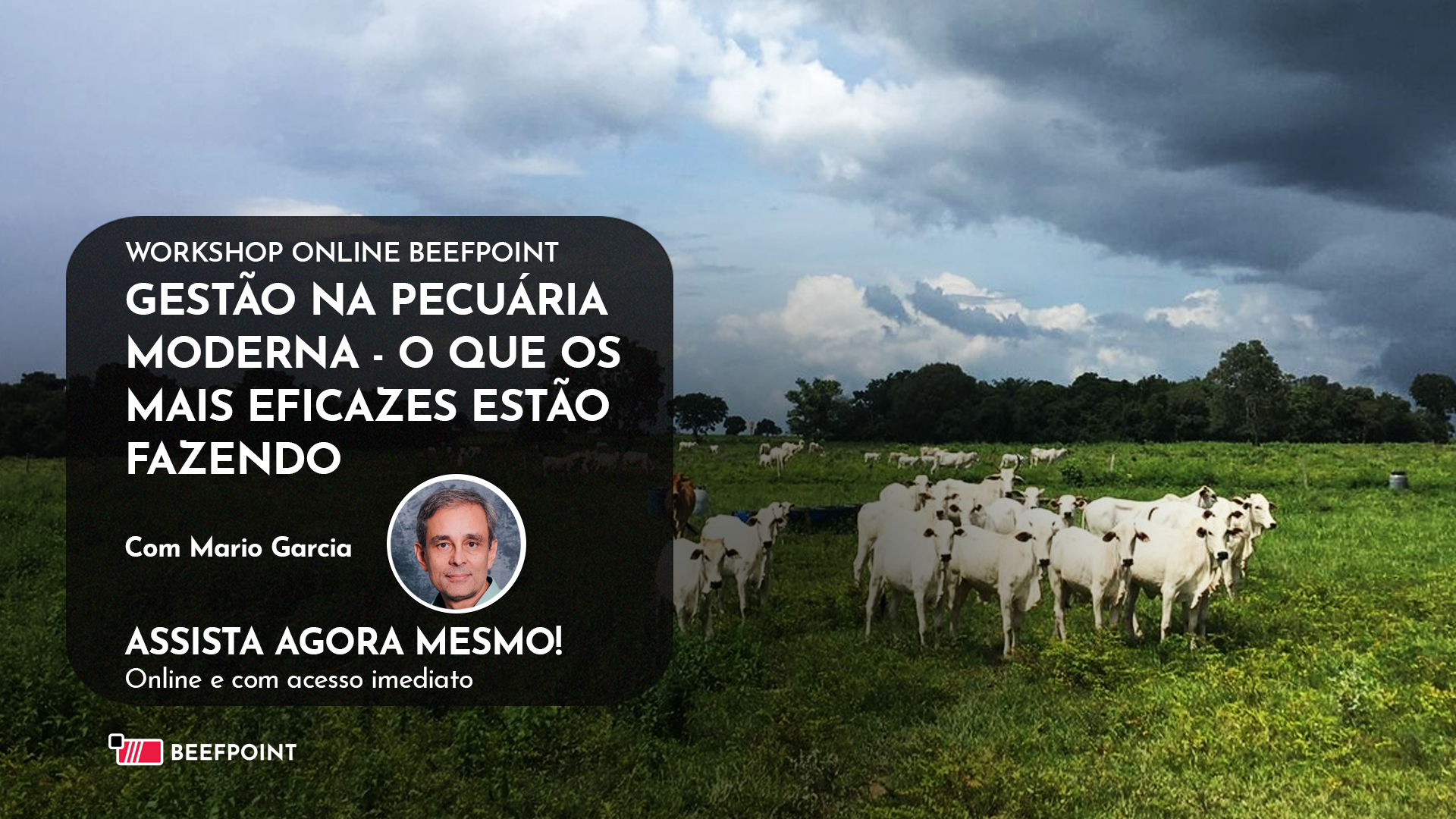 Pecuária Moderna: olhando para o negócio além da produção